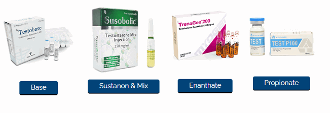 Principais pontos-chave na injeção de testosterona | STERO.is